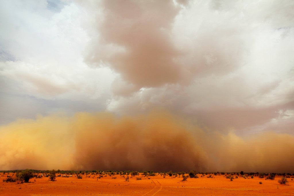 Explore Earth Day with Artstor and JSTOR: Environmental Studies and the ...